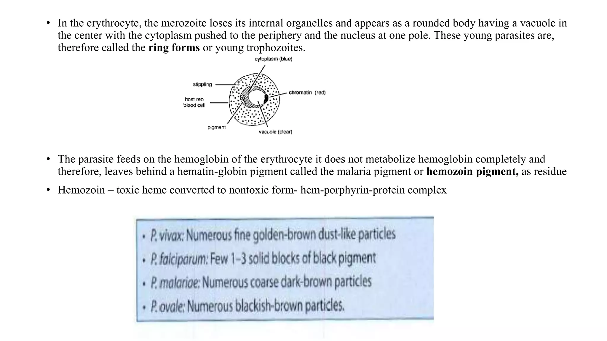 MALARIA – PATHOGENESIS AND COMPLICATIONS 1.pptx
