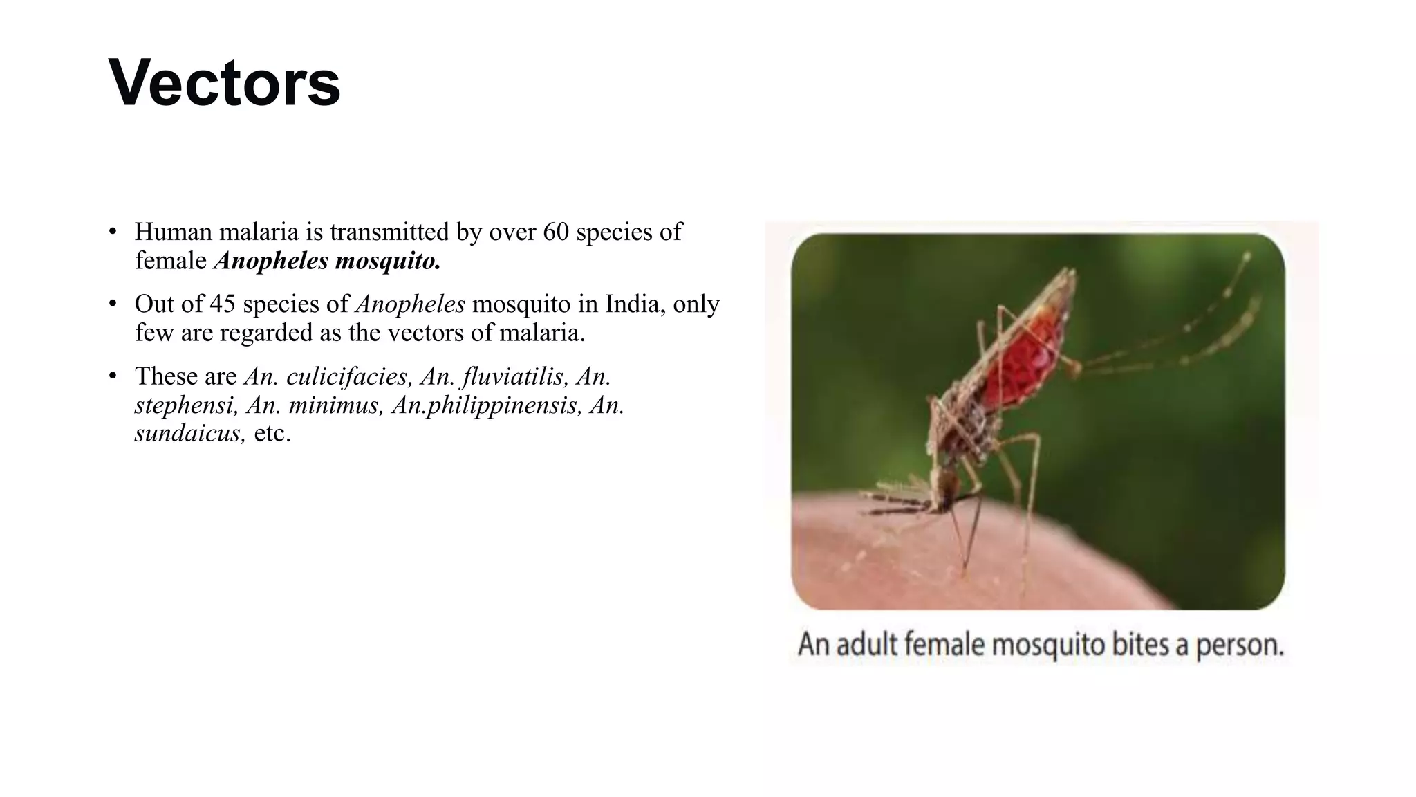 MALARIA – PATHOGENESIS AND COMPLICATIONS 1.pptx