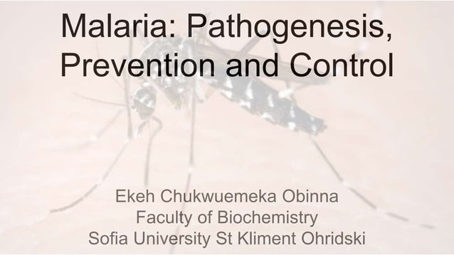 Malaria pathogenesis, prevention and control | PPTX | Infectious ...