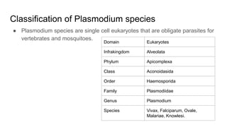 Malaria pathogenesis, prevention and control | PPTX