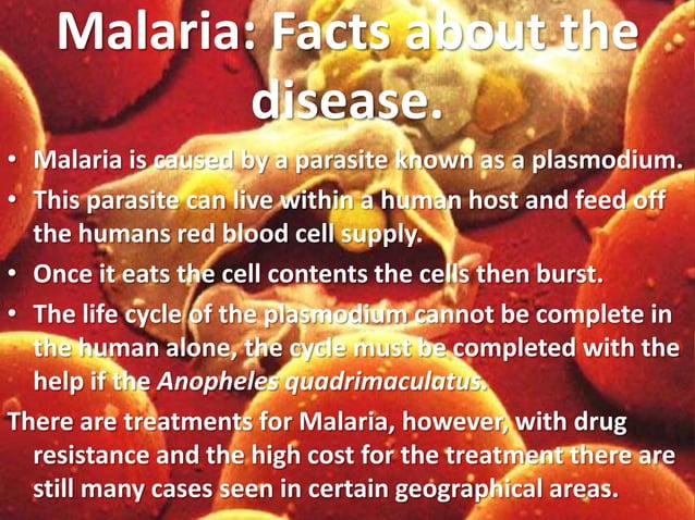 Overview of Unit Plan- Malaria | PPT