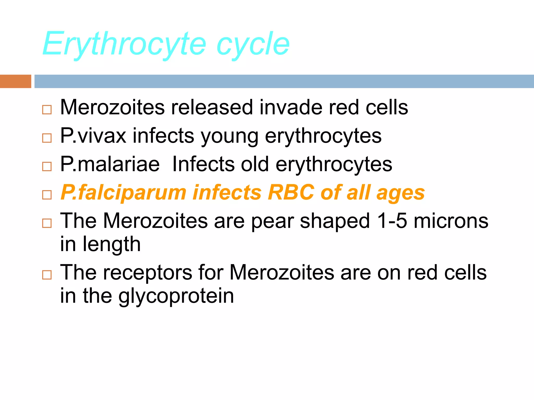 Malaria ppt | PPTX