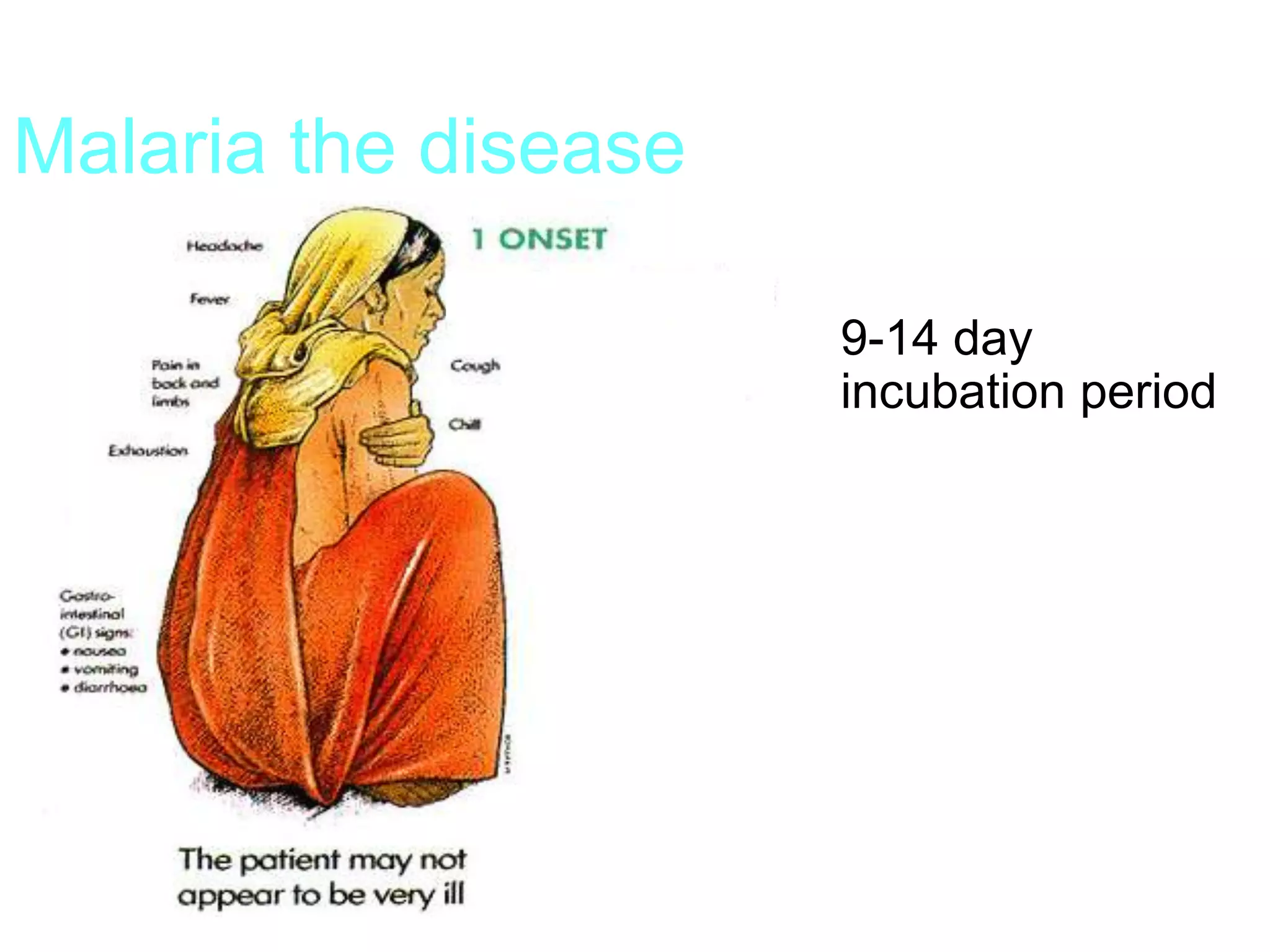 Malaria ppt | PPTX