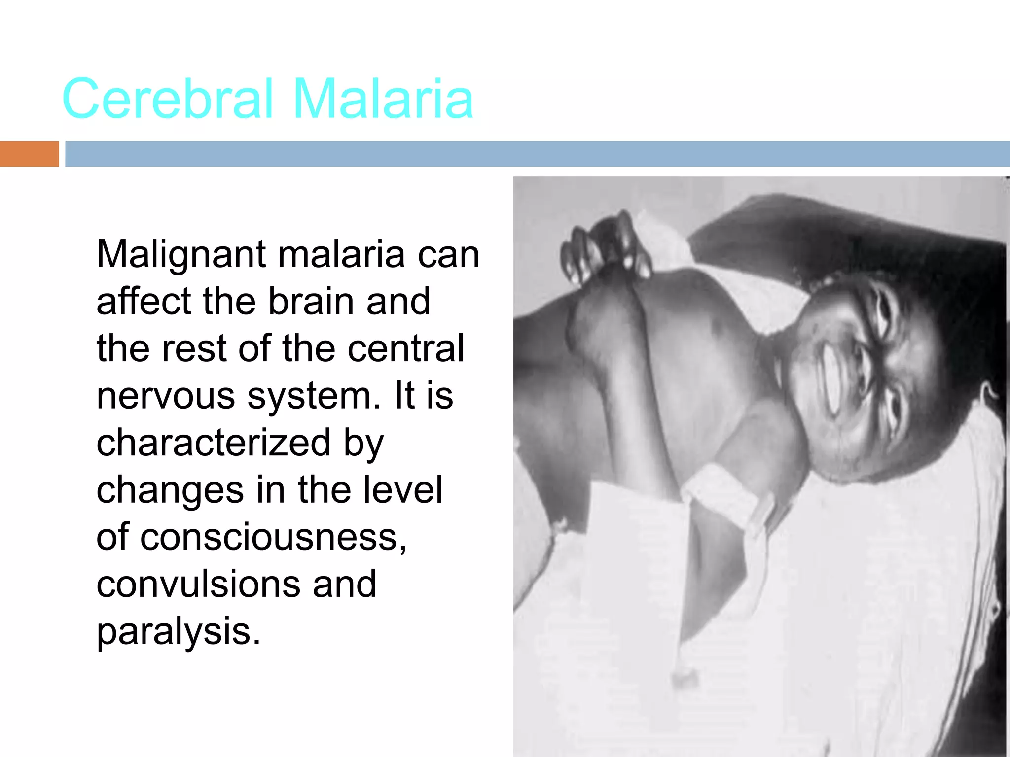 Malaria ppt | PPTX