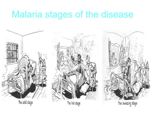 Malaria ppt | PPTX | Infectious Diseases | Diseases and Conditions
