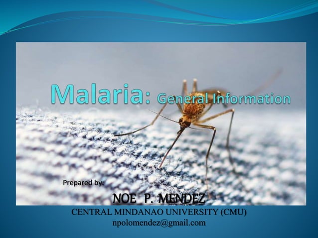 Malaria ppt | PPTX