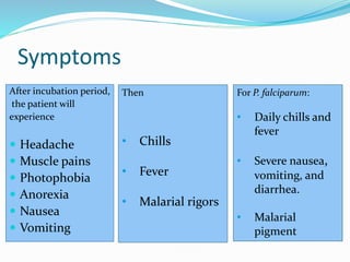 Malaria ppt | PPTX