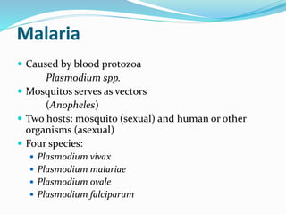Malaria ppt | PPTX