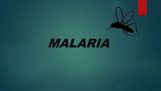 Malaria ppt | PPTX