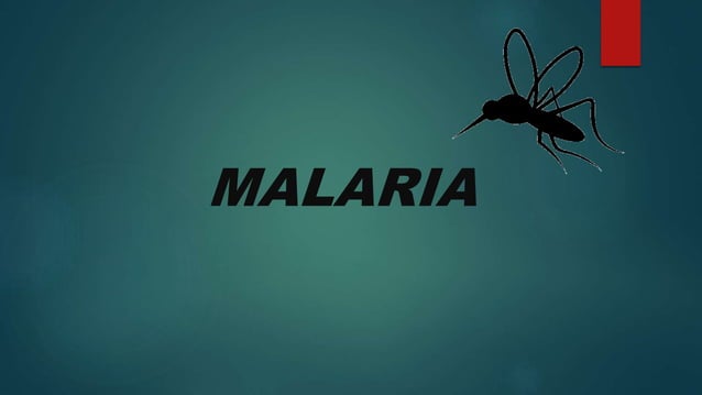 Malaria ppt | PPT