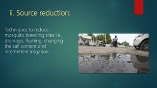 Malaria ppt | PPTX