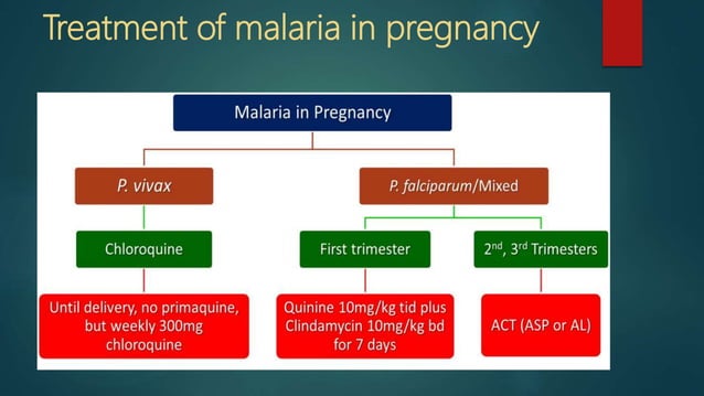 Malaria ppt | PPT