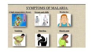 Malaria ppt | PPT
