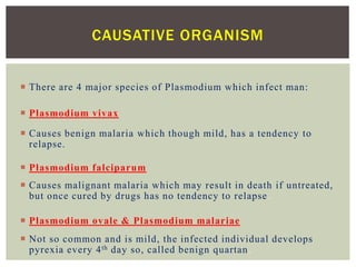 Malaria PPT.pptx