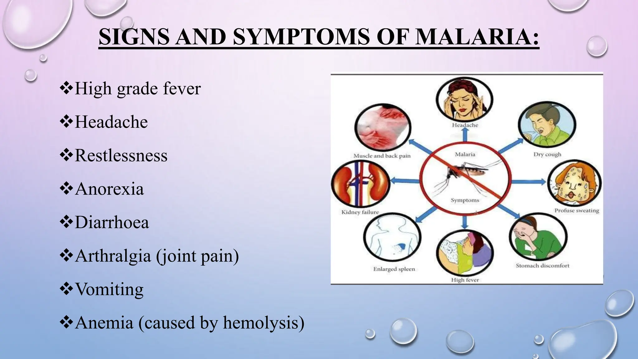 MALARIA PPT.pptx A road to read the Malaria and its Effects to our body ...