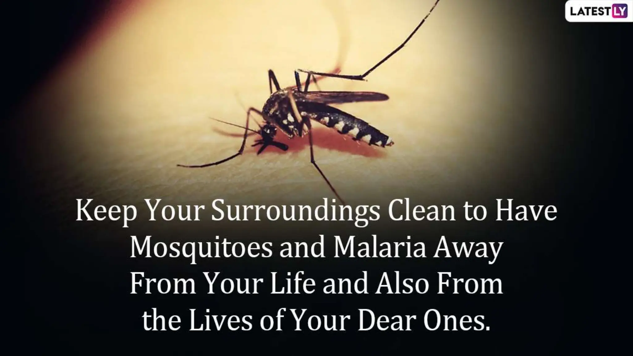 MALARIA PPT.pptx A road to read the Malaria and its Effects to our body ...