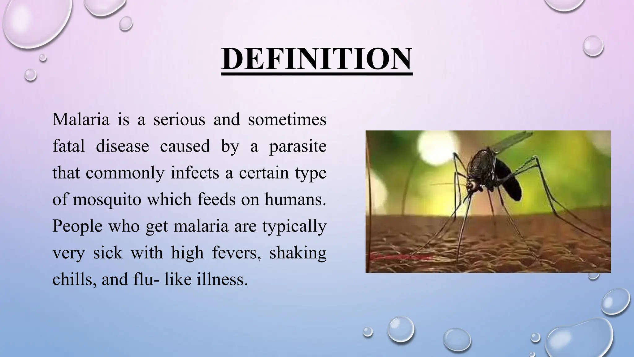 MALARIA PPT.pptx A road to read the Malaria and its Effects to our body ...