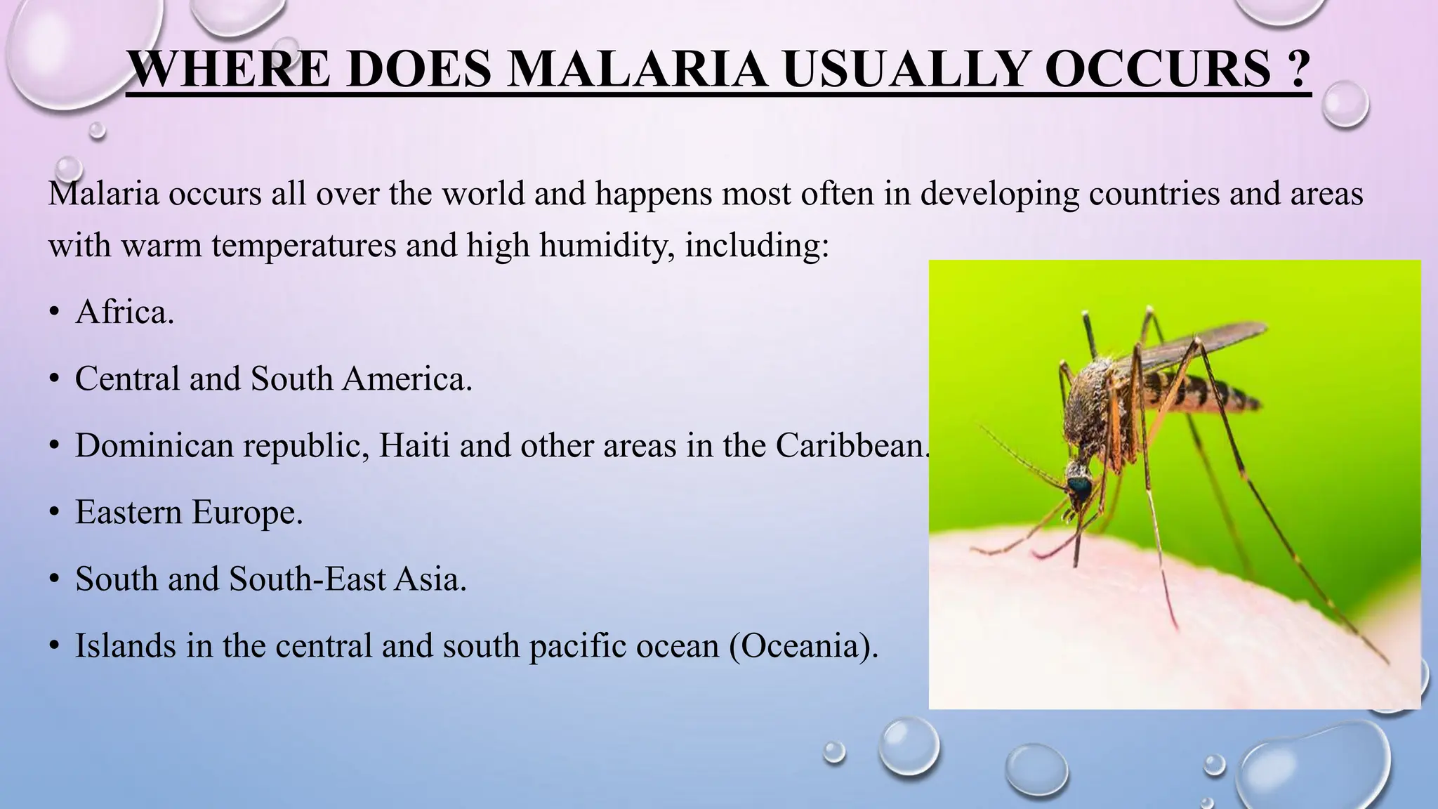 MALARIA PPT.pptx A road to read the Malaria and its Effects to our body ...