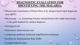 MALARIA PPT.pptx A road to read the Malaria and its Effects to our body and Prevention from this ...