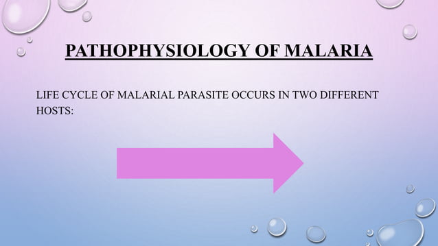 MALARIA PPT.pptx A road to read the Malaria and its Effects to our body ...