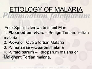 Malaria | PPTX