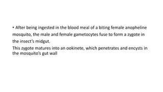 Malaria ppt c-1.pptx