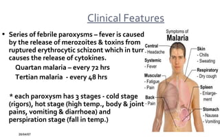 Malaria ppt deepa babin | PPT