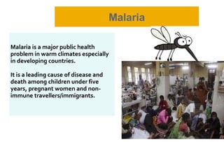 Malaria ppt deepa babin | PPT