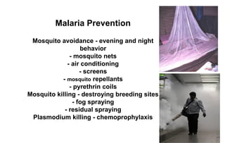 Malaria ppt deepa babin | PPT