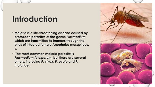 MALARIA ppt sreejith.pptx,etiology,management | PPT