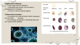 MALARIA ppt sreejith.pptx,etiology,management | PPTX