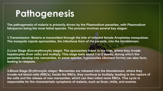MALARIA ppt sreejith.pptx,etiology,management | PPTX