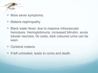 Malaria presentation | PPTX