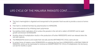 LIFE CYCLE/DRUG TREATMENT OF MALARIA PARASITE. | PPTX