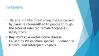 Comprehensive Overview of Malaria: Causes, Symptoms, Treatment, and ...