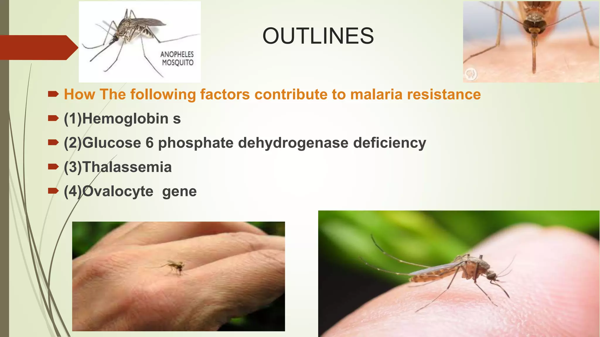 Malaria resistance " Resistance to Malaria" | PPT