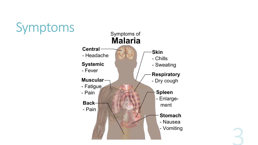 Malaria Complications Severe Malaria malaria-complications-severe-malaria