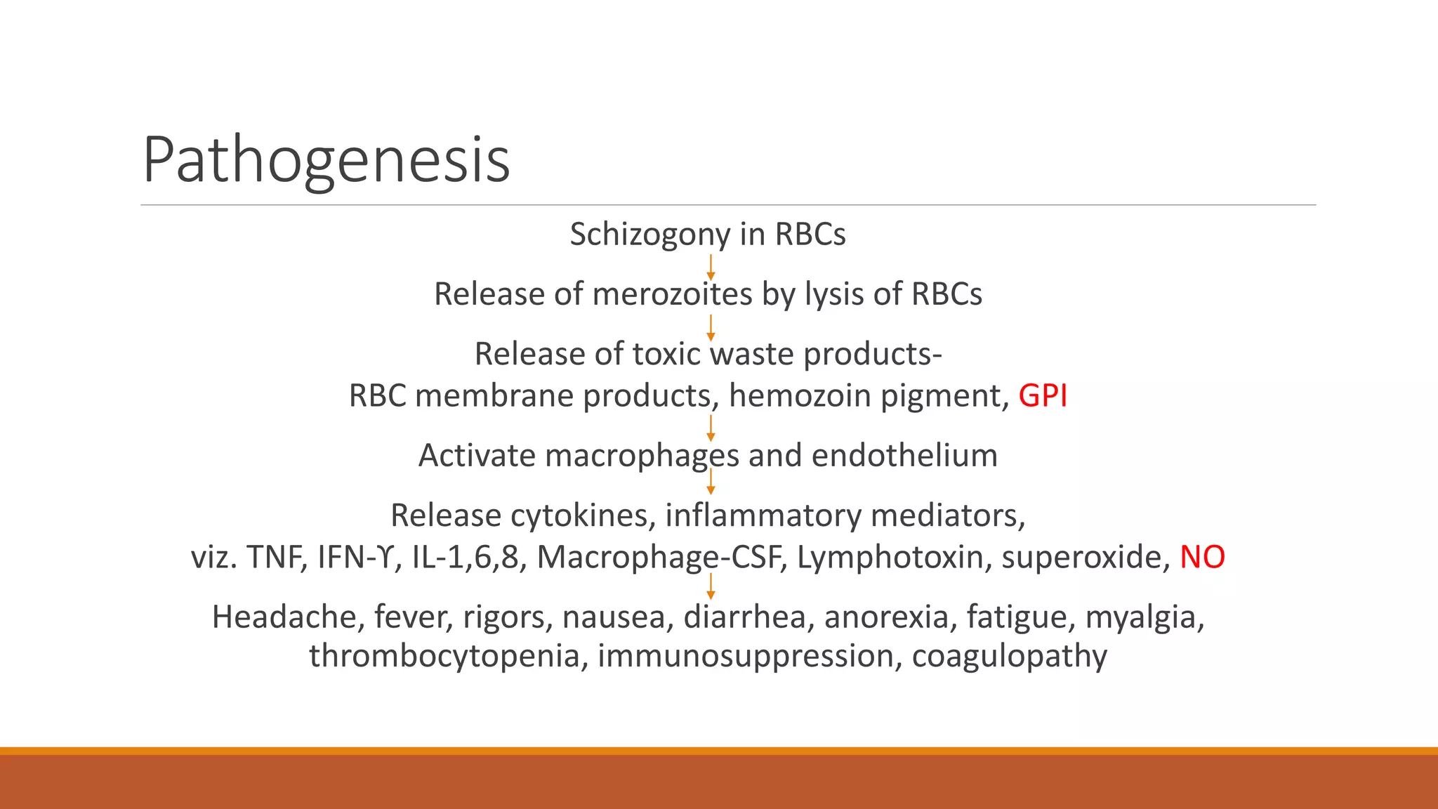 Malaria - Pathophysiology, Life-cycle | PPTX