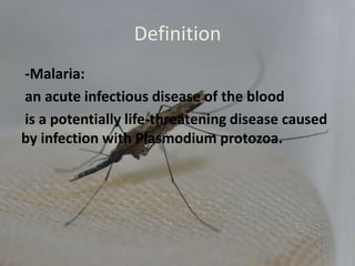 Malaria | PPT