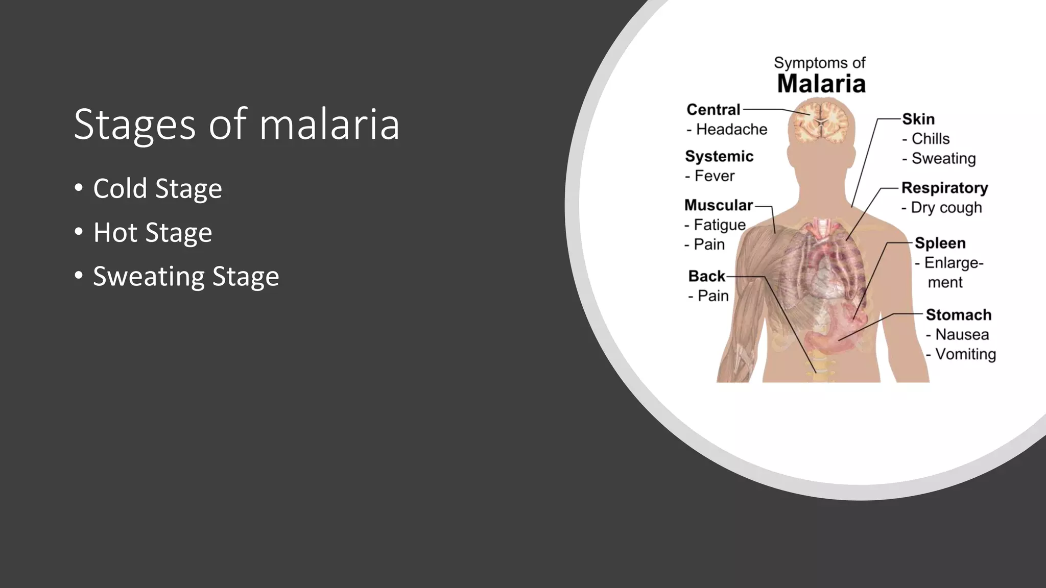 Malaria (Community Medicine Class) | PPTX