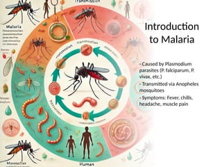 _Malaria_Treatment_Presentation__.pptx