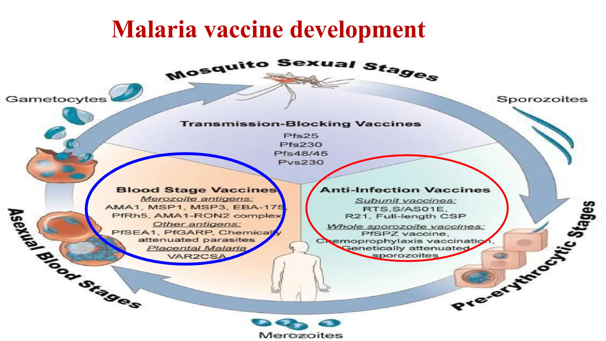 malaria vaccine expectations and realities.pptx