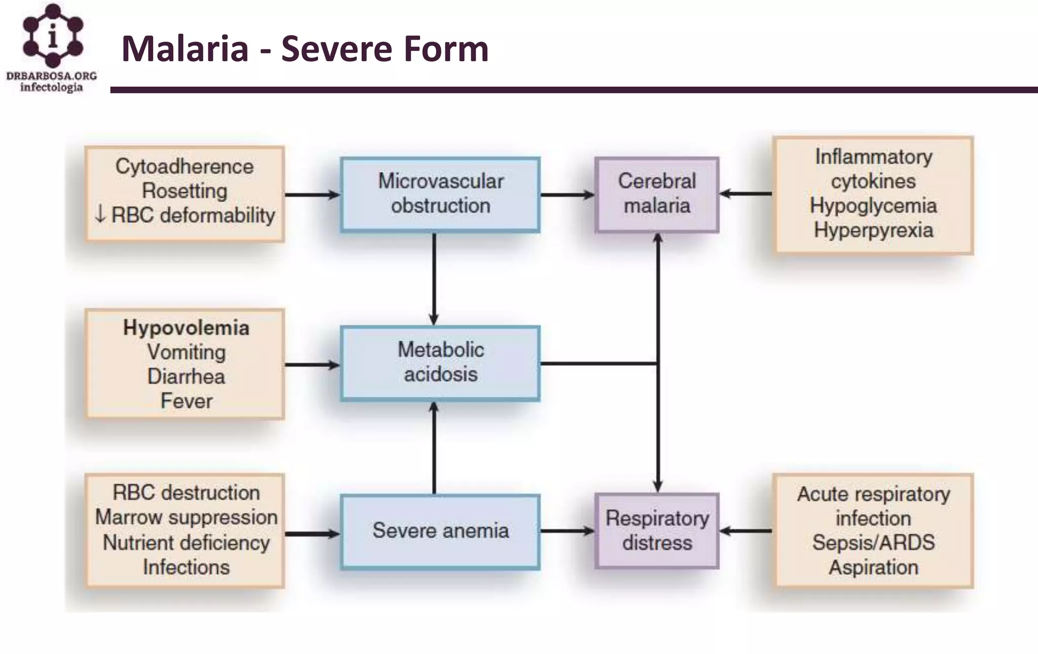 Malaria winter school tropical diseases unesp alexandre barbosa 2018 | PPT