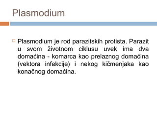 Malarija (mikrobiologija) | PPT