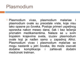 Malarija (mikrobiologija) | PPT