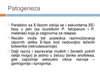 Malarija (mikrobiologija) | PPT