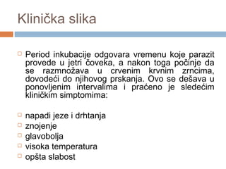 Malarija (mikrobiologija) | PPT