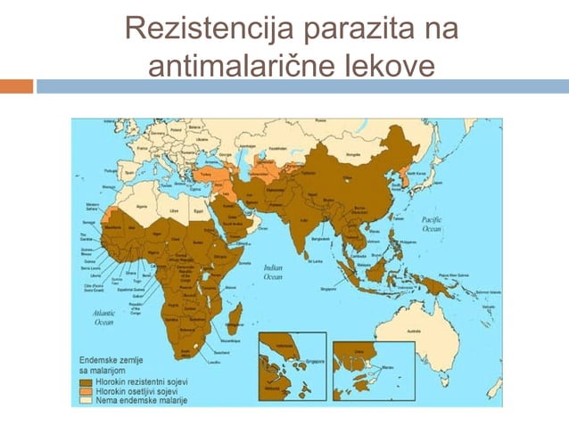 Malarija (mikrobiologija) | PPT
