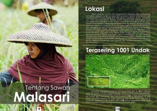 Malasari Field Guide Book | PDF