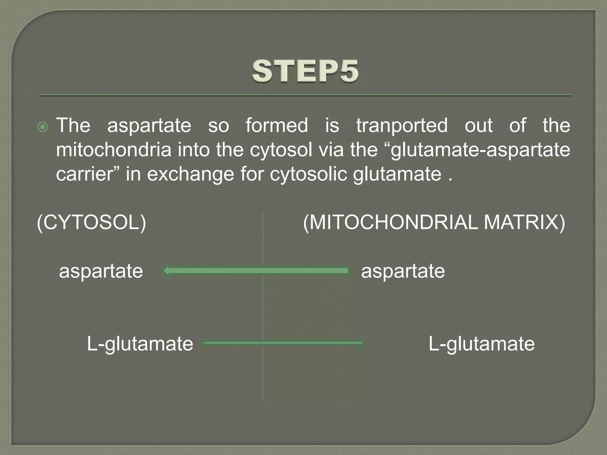Malate aspartate shuttle | PPTX